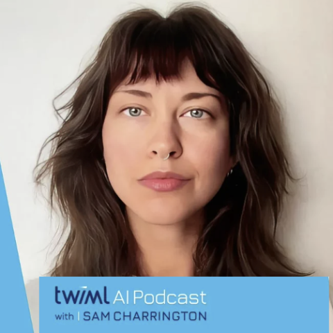 Sophia Sanborn is on the TWIML AI Podcast with Sam Charrington | Geometric Intelligence Lab